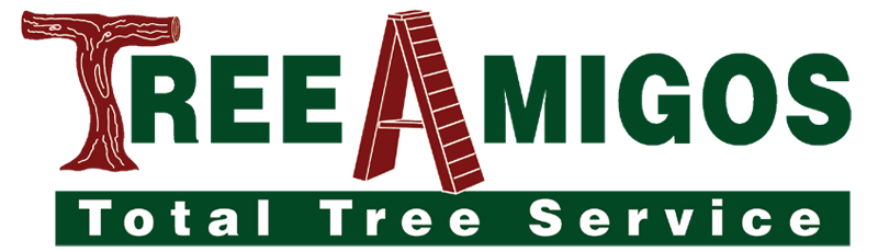 Tree Amigos – SanAntonioTXPro.com